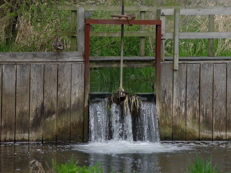 Sluice Meaning